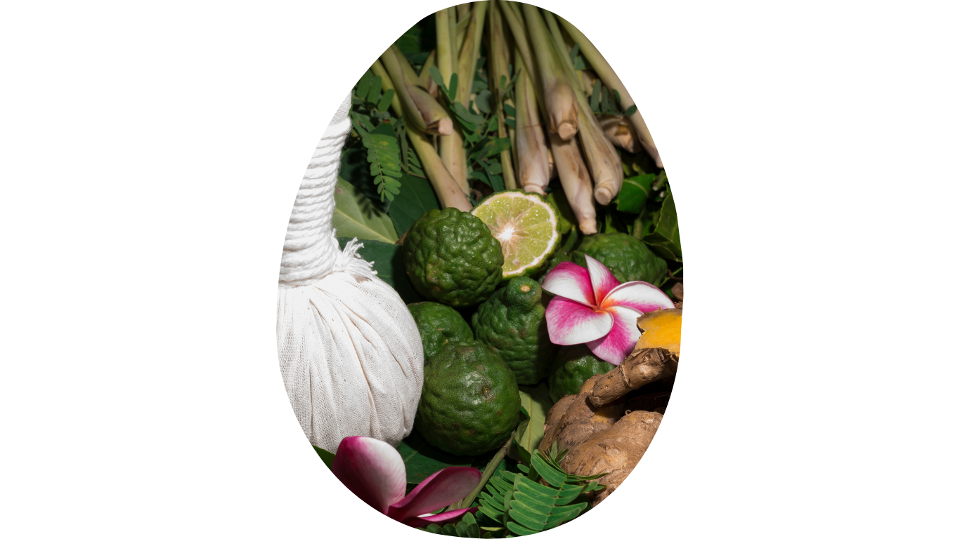 Nasyam - Sukriti Ayur